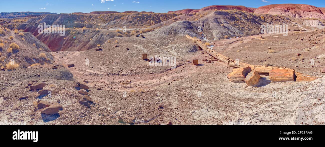 The Onyx Bridge in Petrified Forest National Park Arizona. It is one of ...