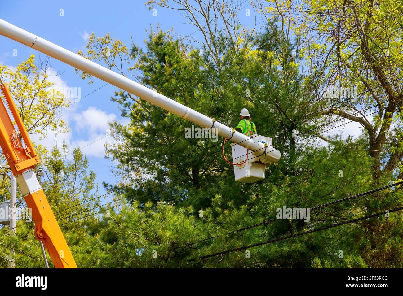 Seasonal pruning trees at the springtime with tree care with hydraulic ...
