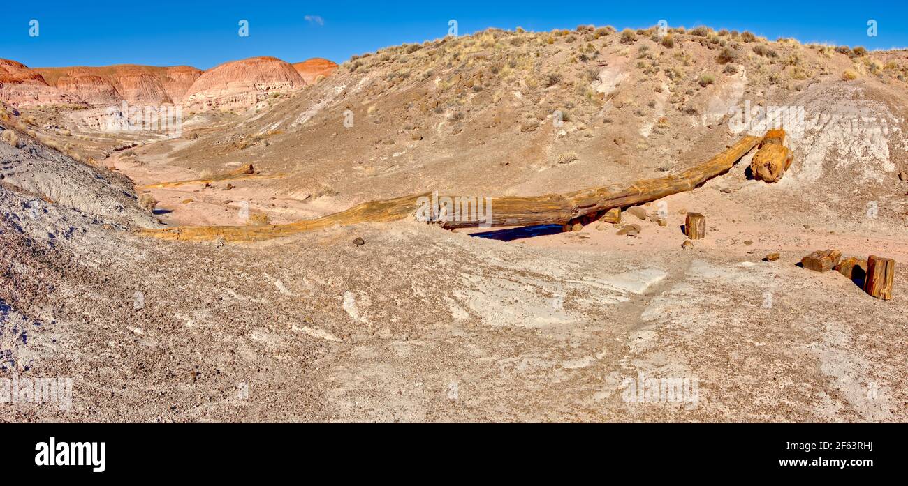 The Onyx Bridge in Petrified Forest National Park Arizona. It is one of ...