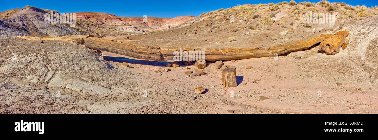 The Onyx Bridge in Petrified Forest National Park Arizona. It is one of ...