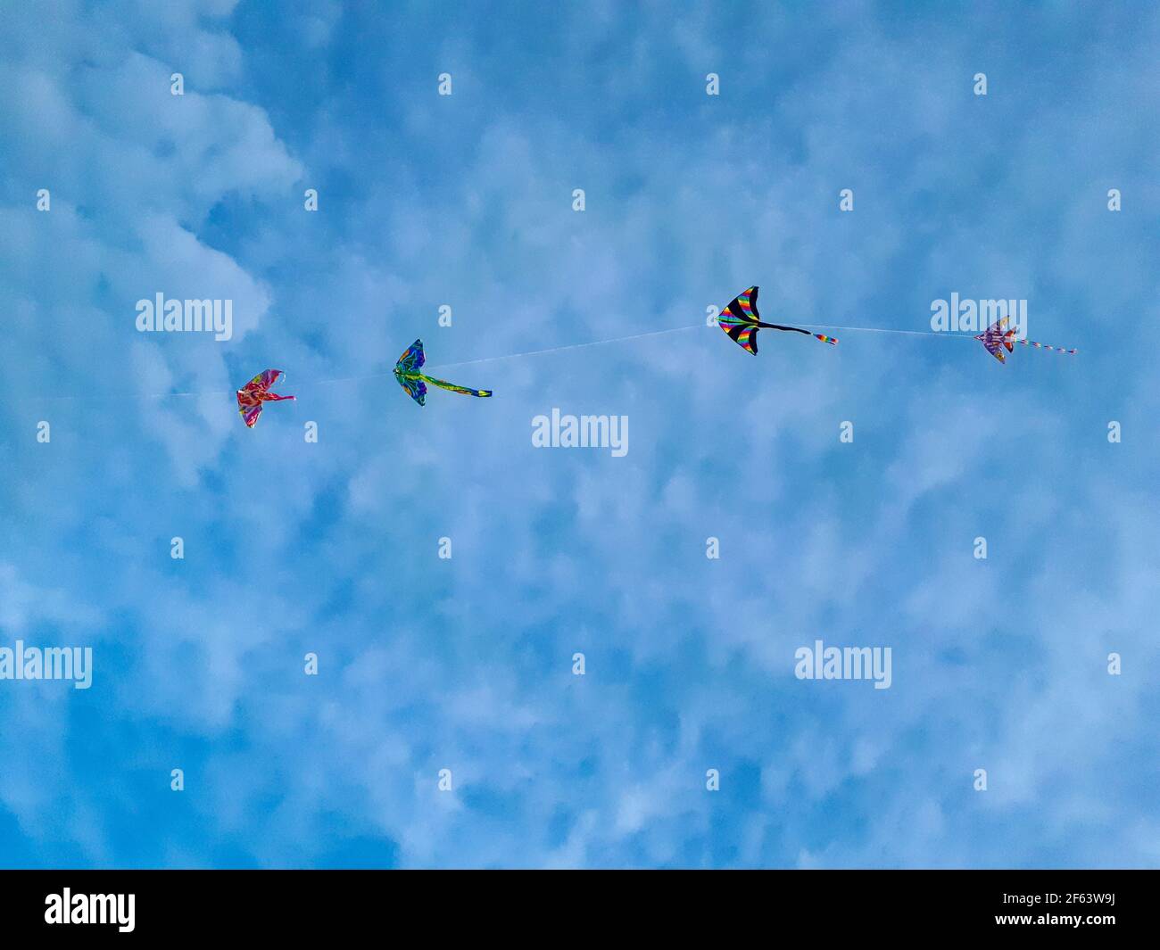 Multi colored kites on string in the cloudy blue sky. Kites flying in ...