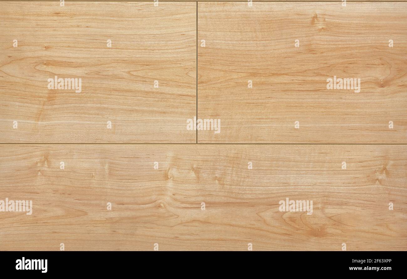 Natural maple wood texture background. Wood background Stock Photo - Alamy