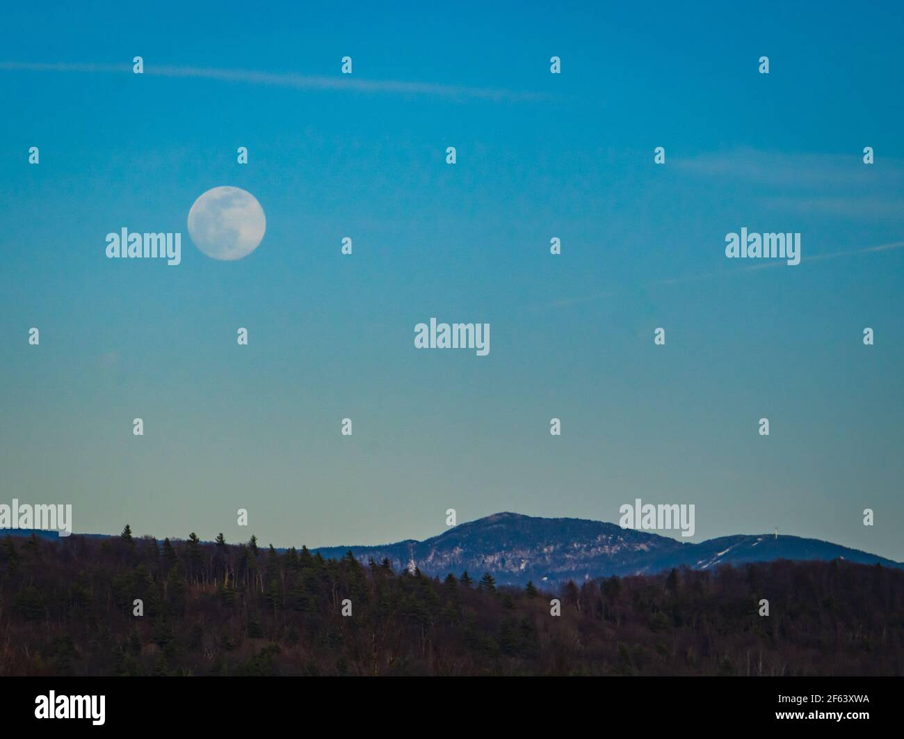 Full moon landscape trees hi-res stock photography and images - Alamy