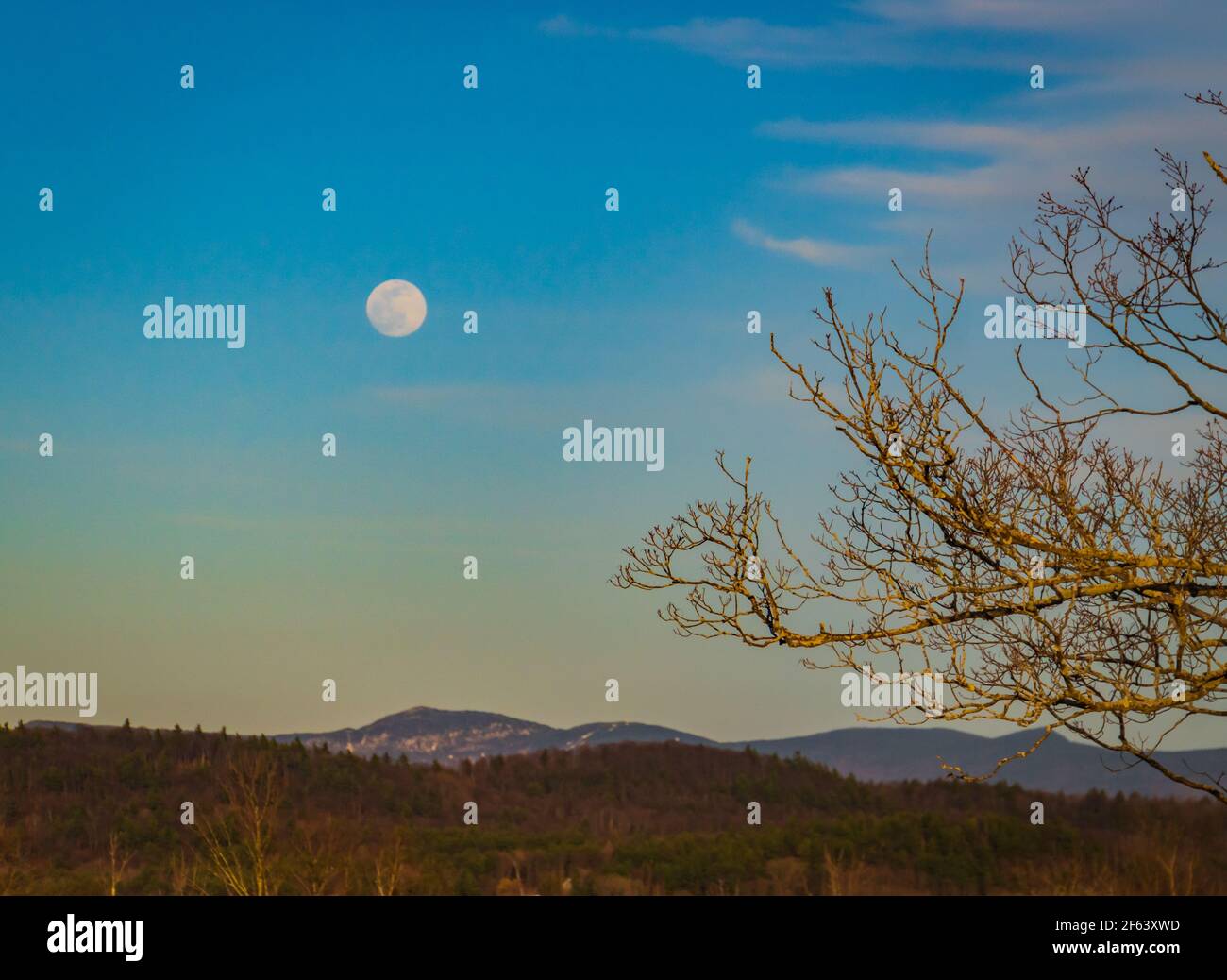 Full moon landscape trees hi-res stock photography and images - Alamy