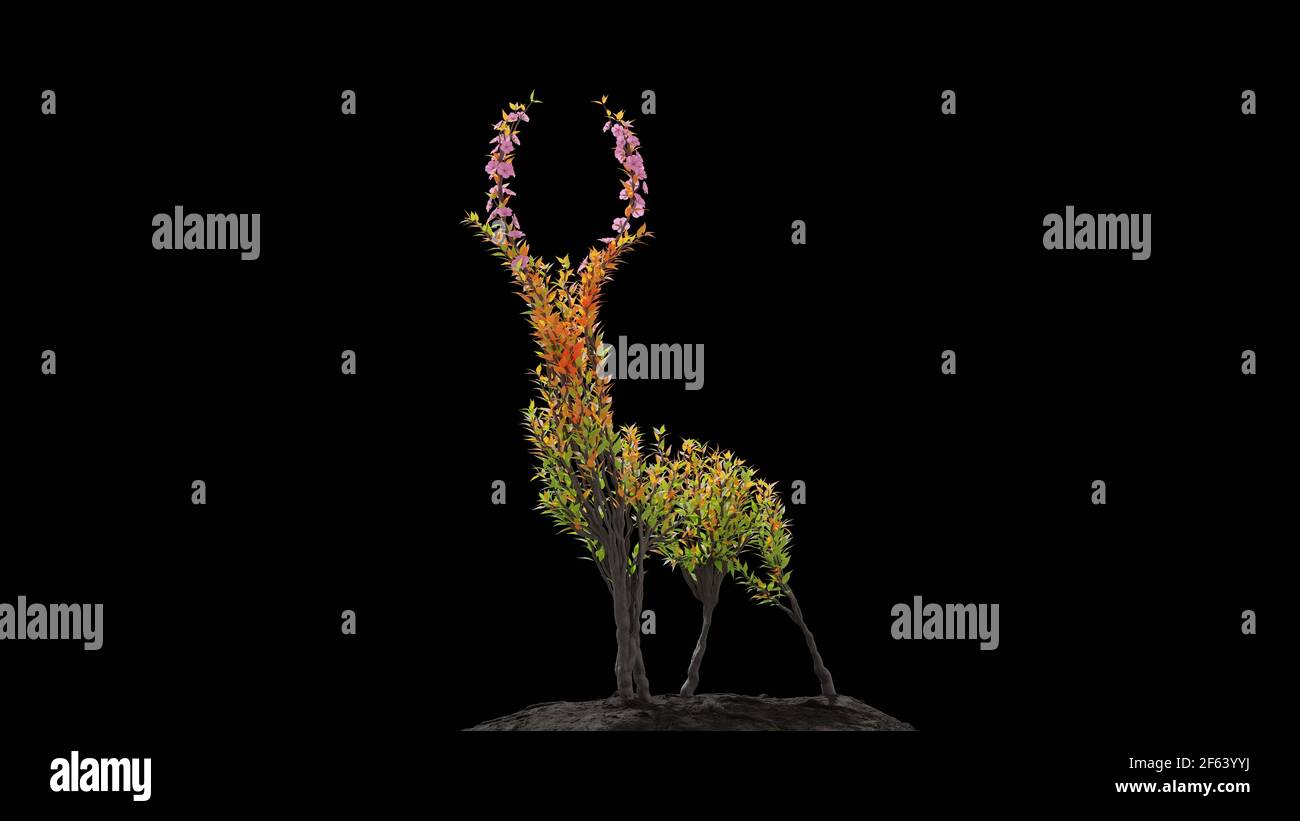 Tree in a shape of a deer. Seasonal transition on black background. Eco ...