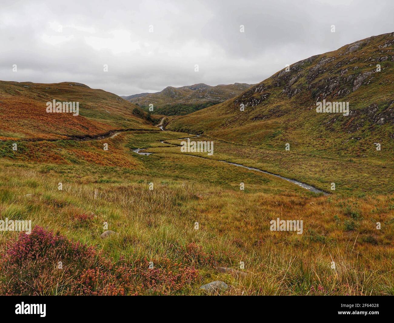 Highlands meander trail Stock Photo - Alamy