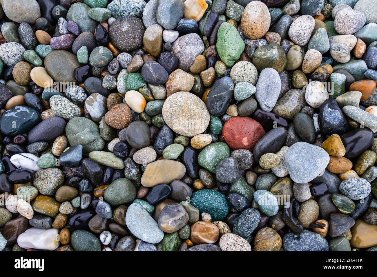 Colorful smooth rocks on the beach covered in water Stock Photo - Alamy