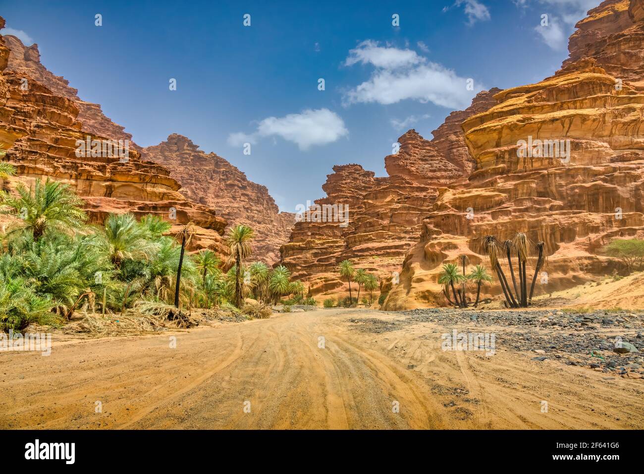 Tabuk saudi arabia hi-res stock photography and images - Alamy
