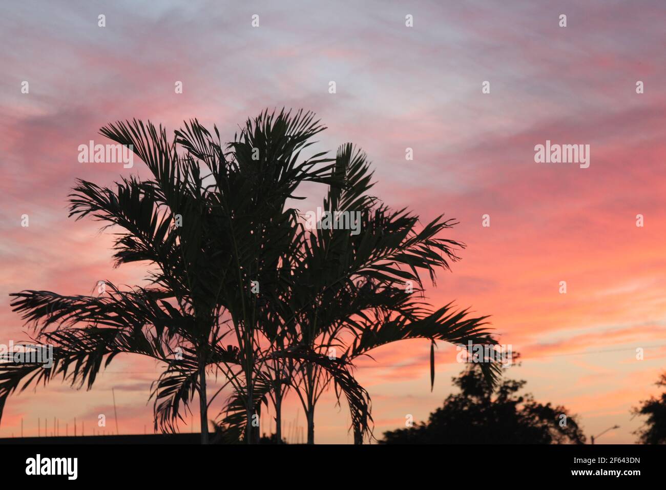 Orange and pink sunset hi-res stock photography and images - Alamy