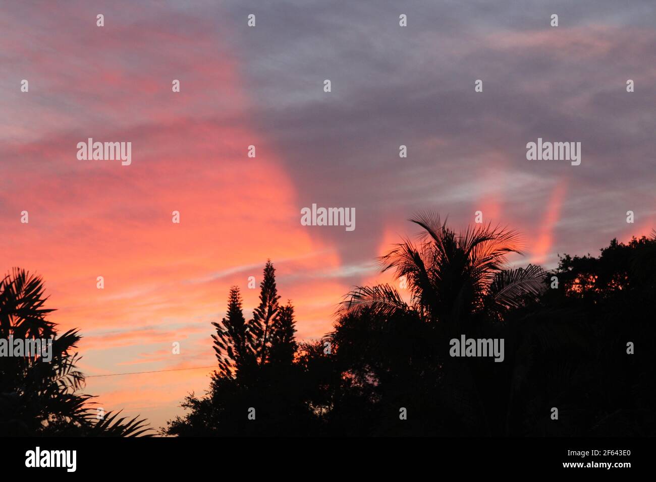 Orange and pink sunset hi-res stock photography and images - Alamy