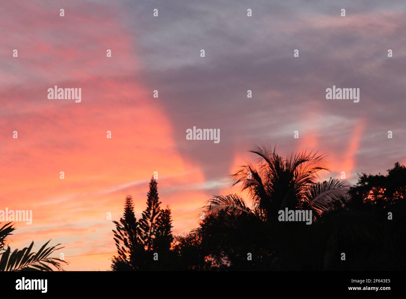 Orange and pink sunset hi-res stock photography and images - Alamy