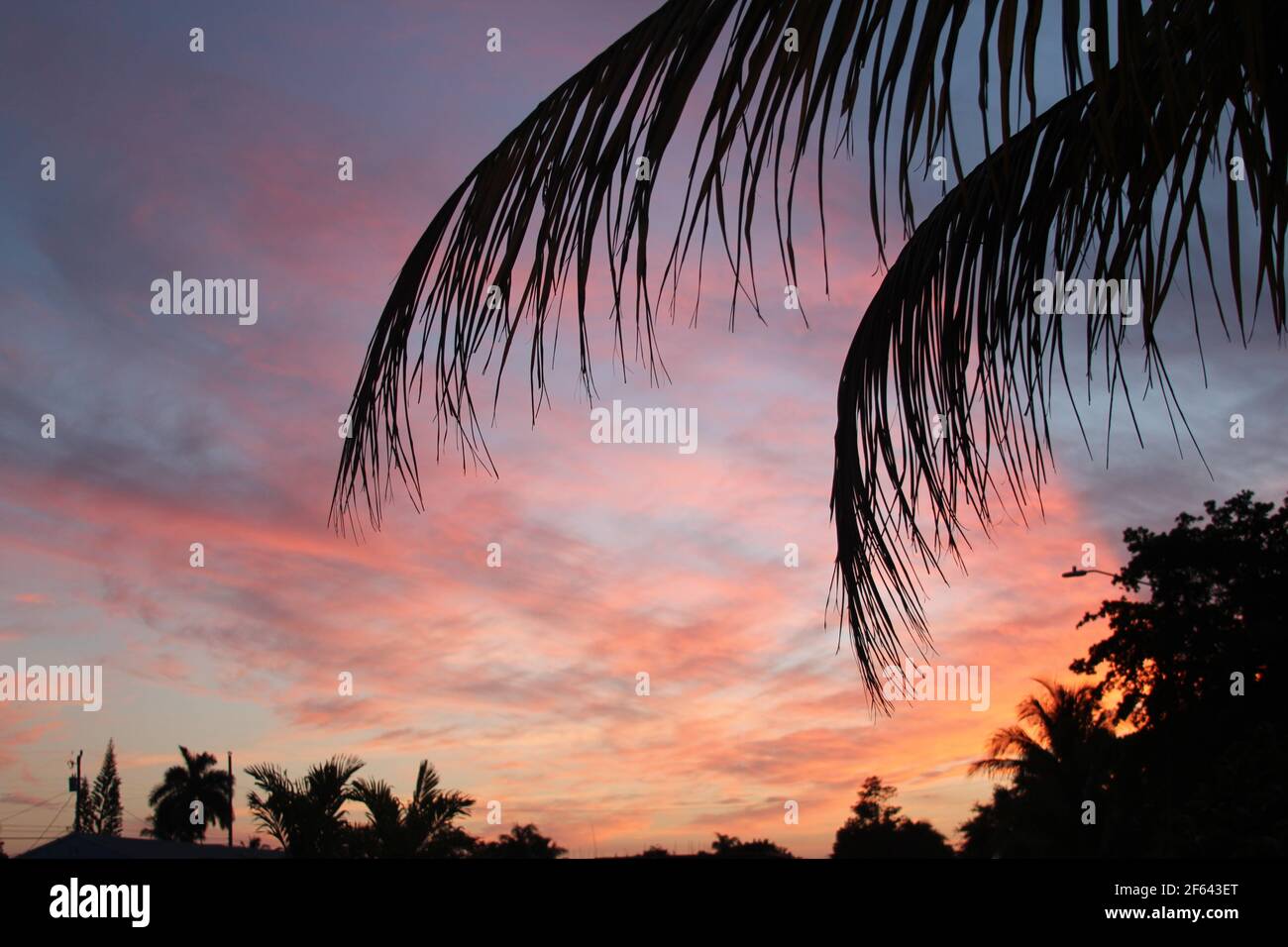 sunsetting in Florida Stock Photo - Alamy