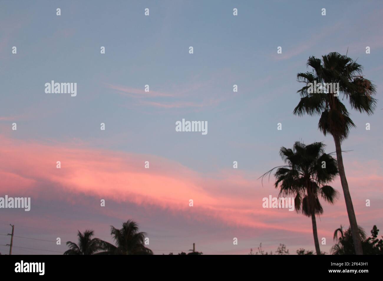 sunsetting in Florida Stock Photo - Alamy