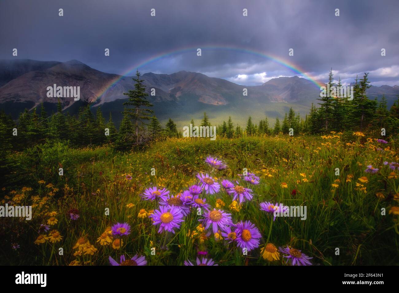 From the highest point on the Icefields Parkway (2070 m), hike beyond ...