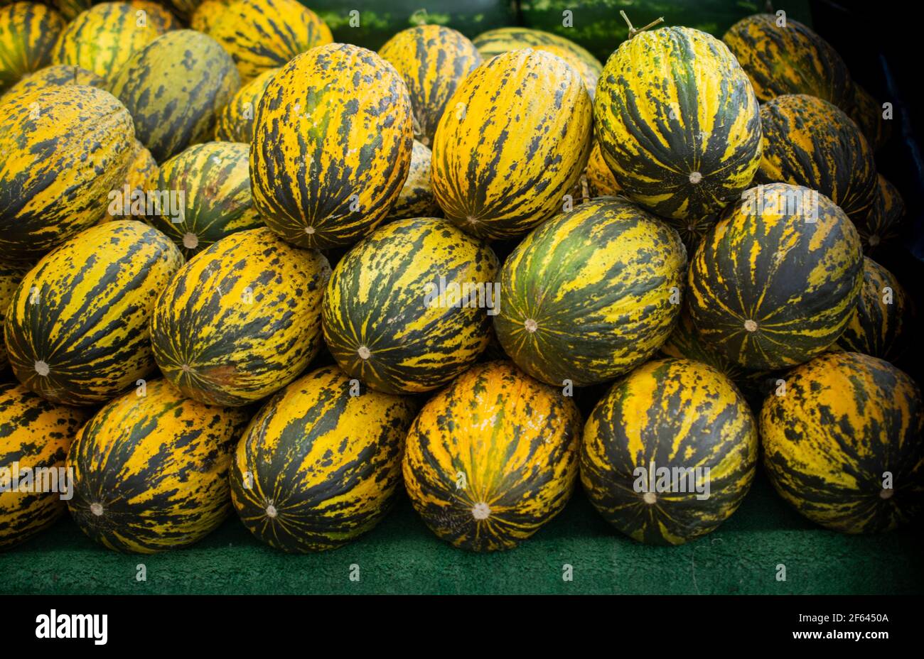 Beautiful tasty ripe melons at the market Stock Photo - Alamy