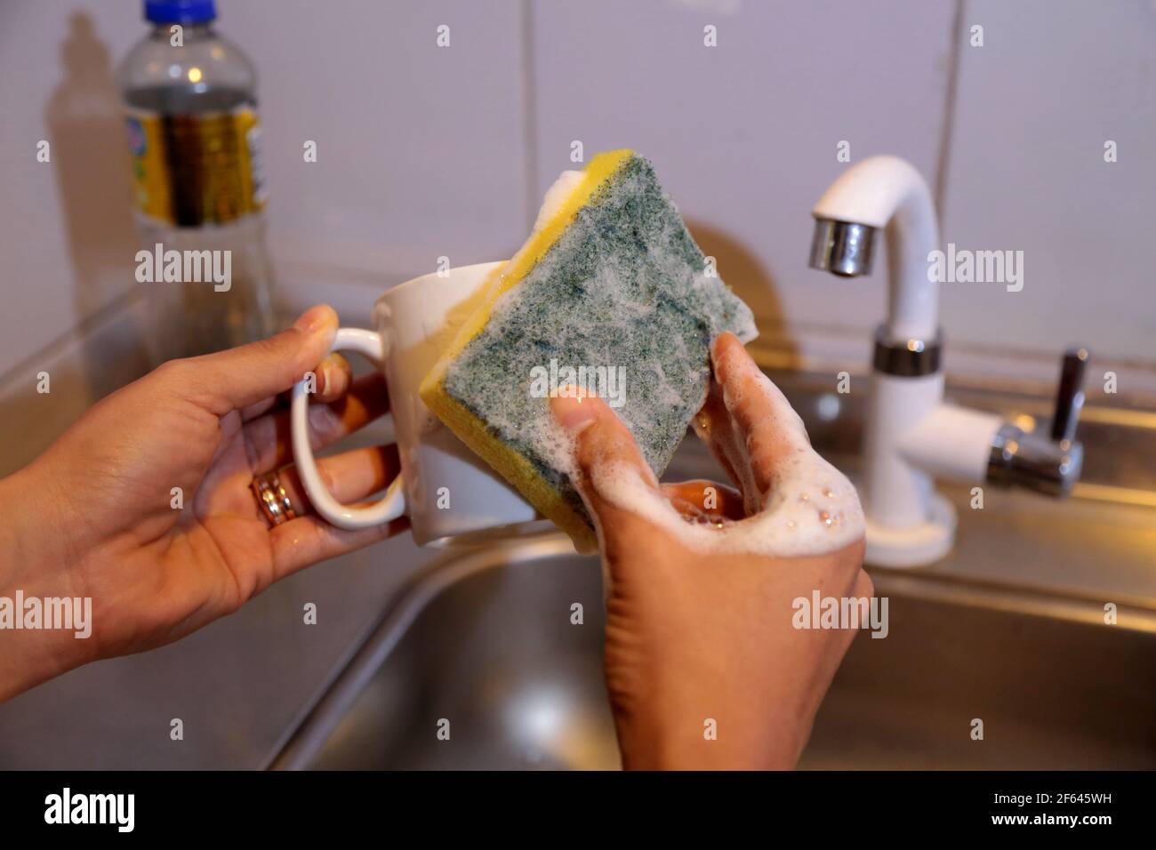 salvador, bahia / brazil - july 9, 2017: hand holds sponge for washing ...