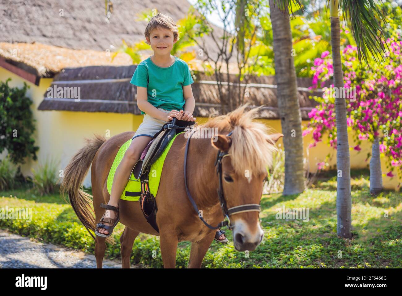 Smiling, young boy ride a pony horse. Horseback riding in a tropical ...