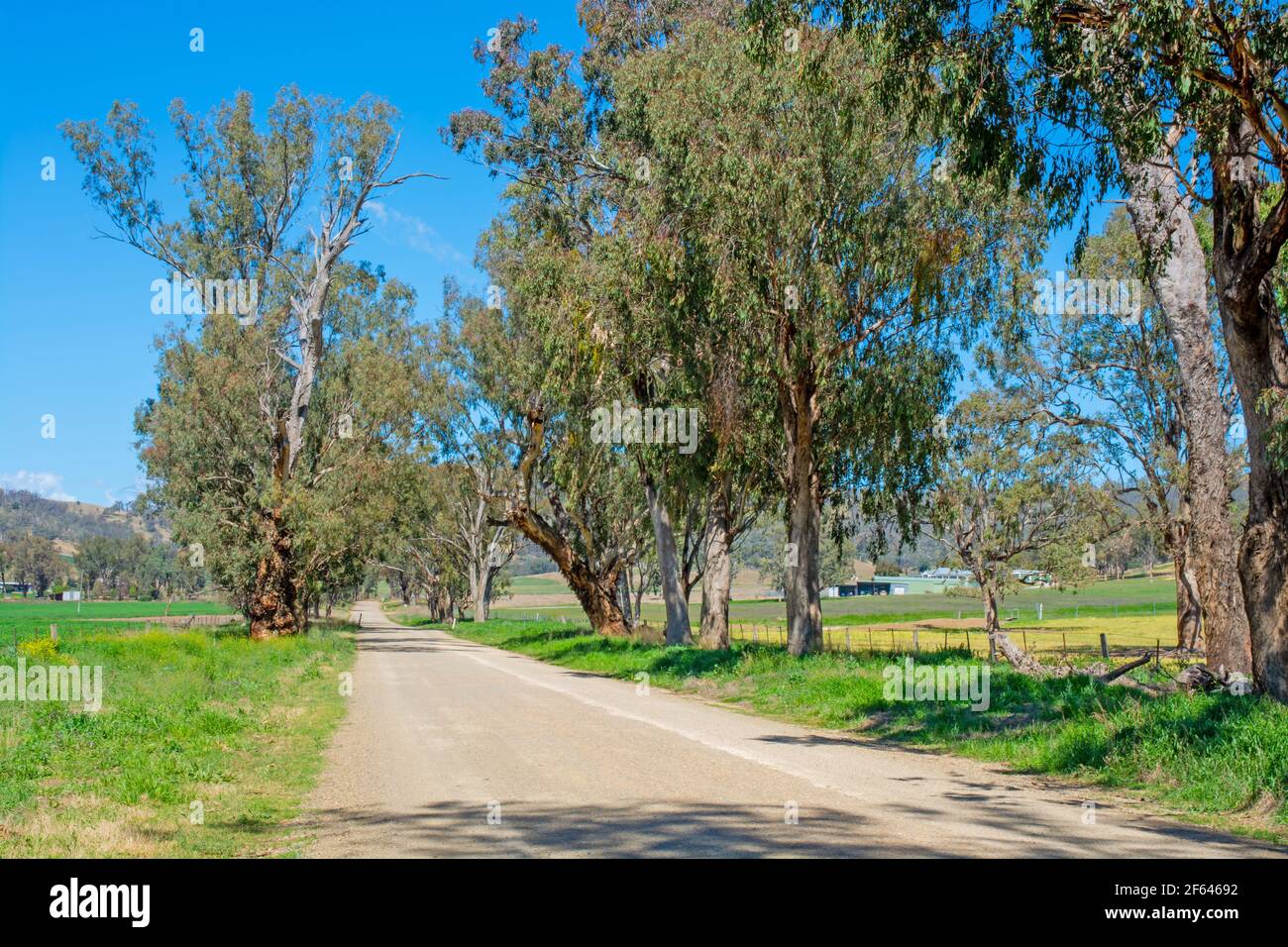 Country road australia hi-res stock photography and images - Alamy