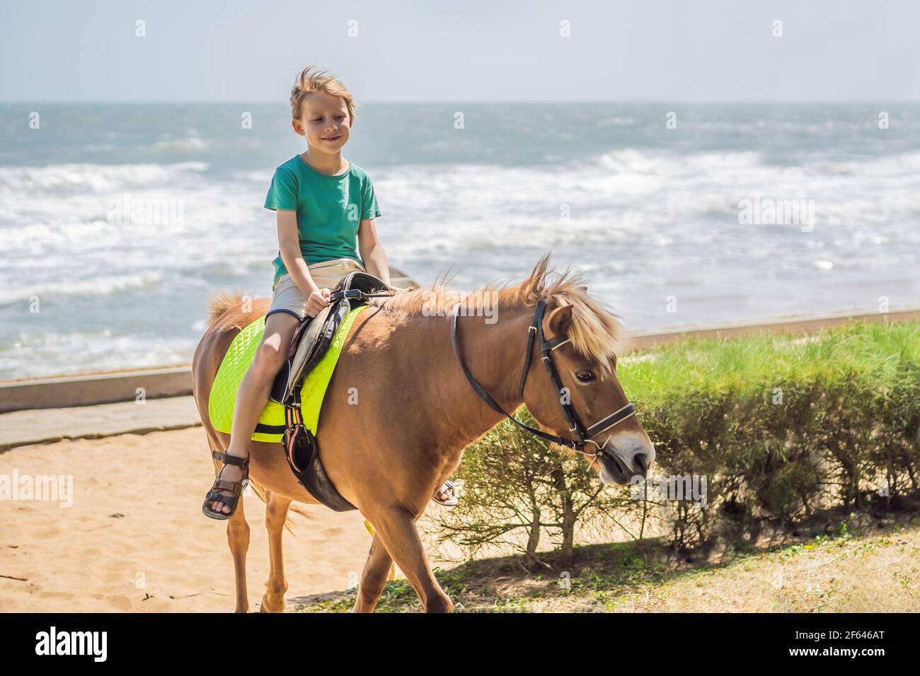 Smiling, young boy ride a pony horse. Horseback riding in a tropical ...