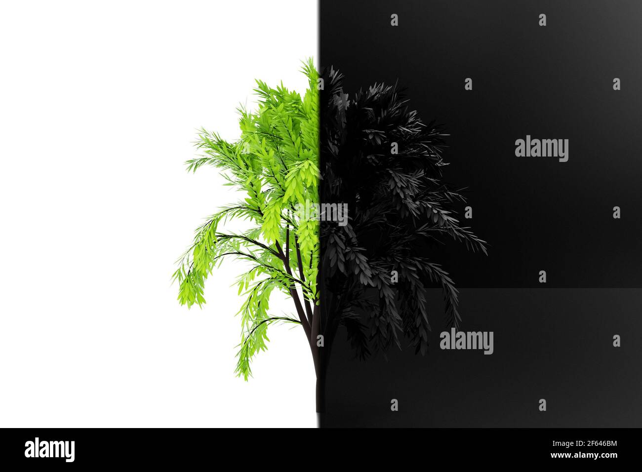 3d illustration of realistic green decorative tree, divided into black ...