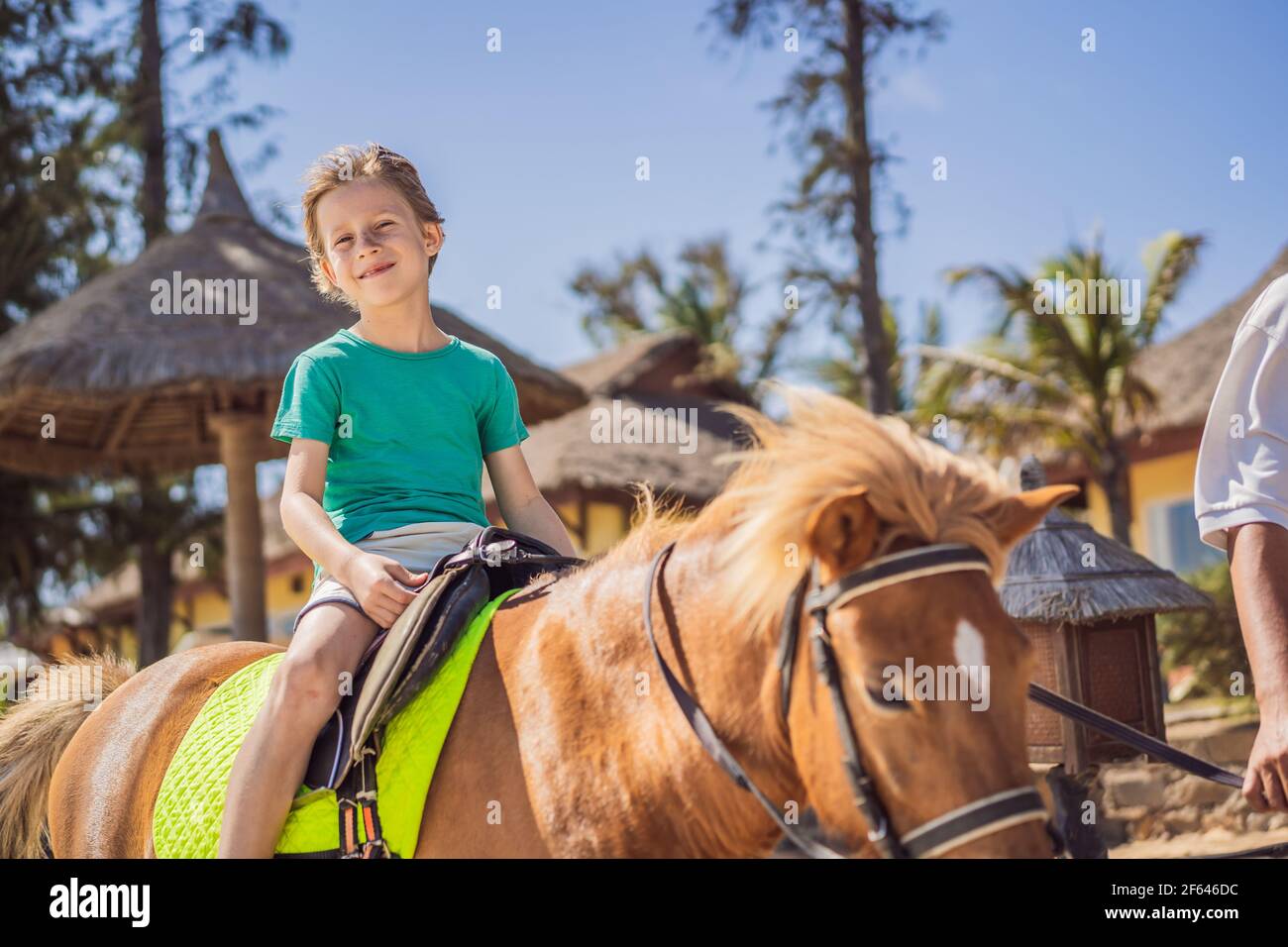 Kid pony ride boy portrait hi-res stock photography and images - Alamy