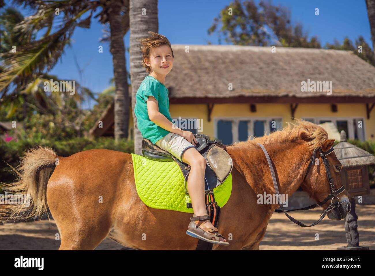 Smiling, young boy ride a pony horse. Horseback riding in a tropical ...