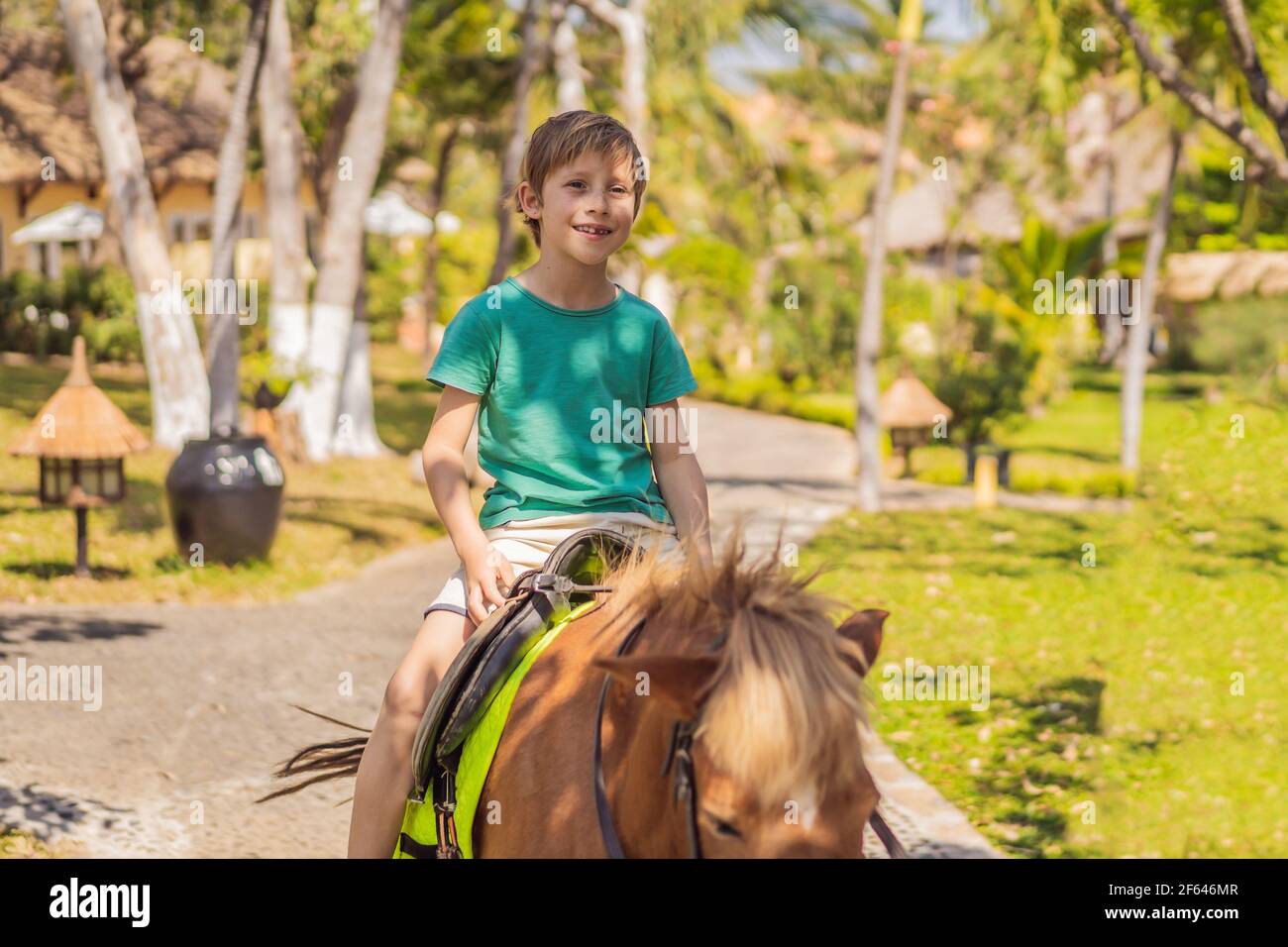 Kid pony ride boy portrait hi-res stock photography and images - Alamy