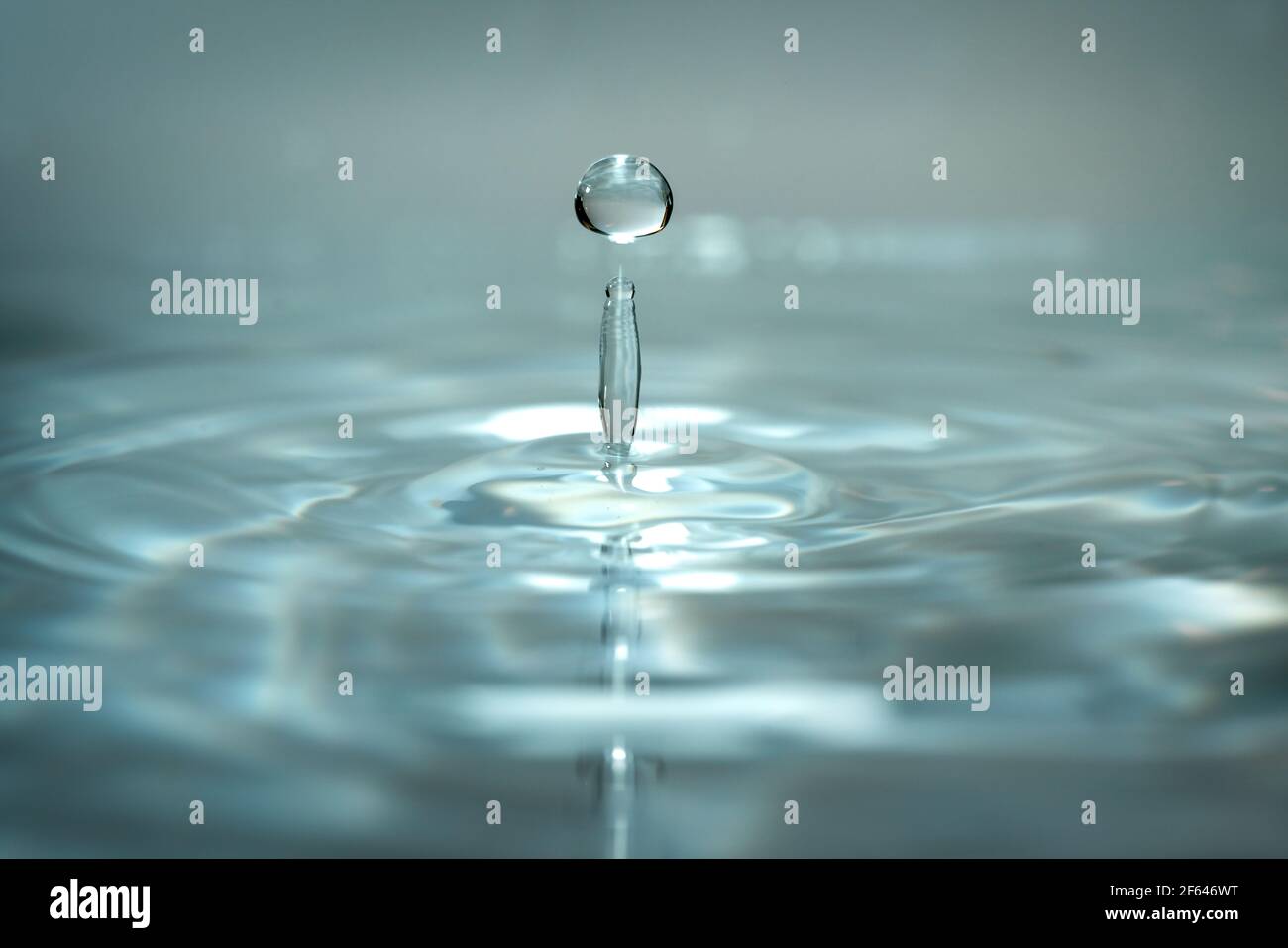 Moment of water drops colliding on pink background. Abstract natural ...