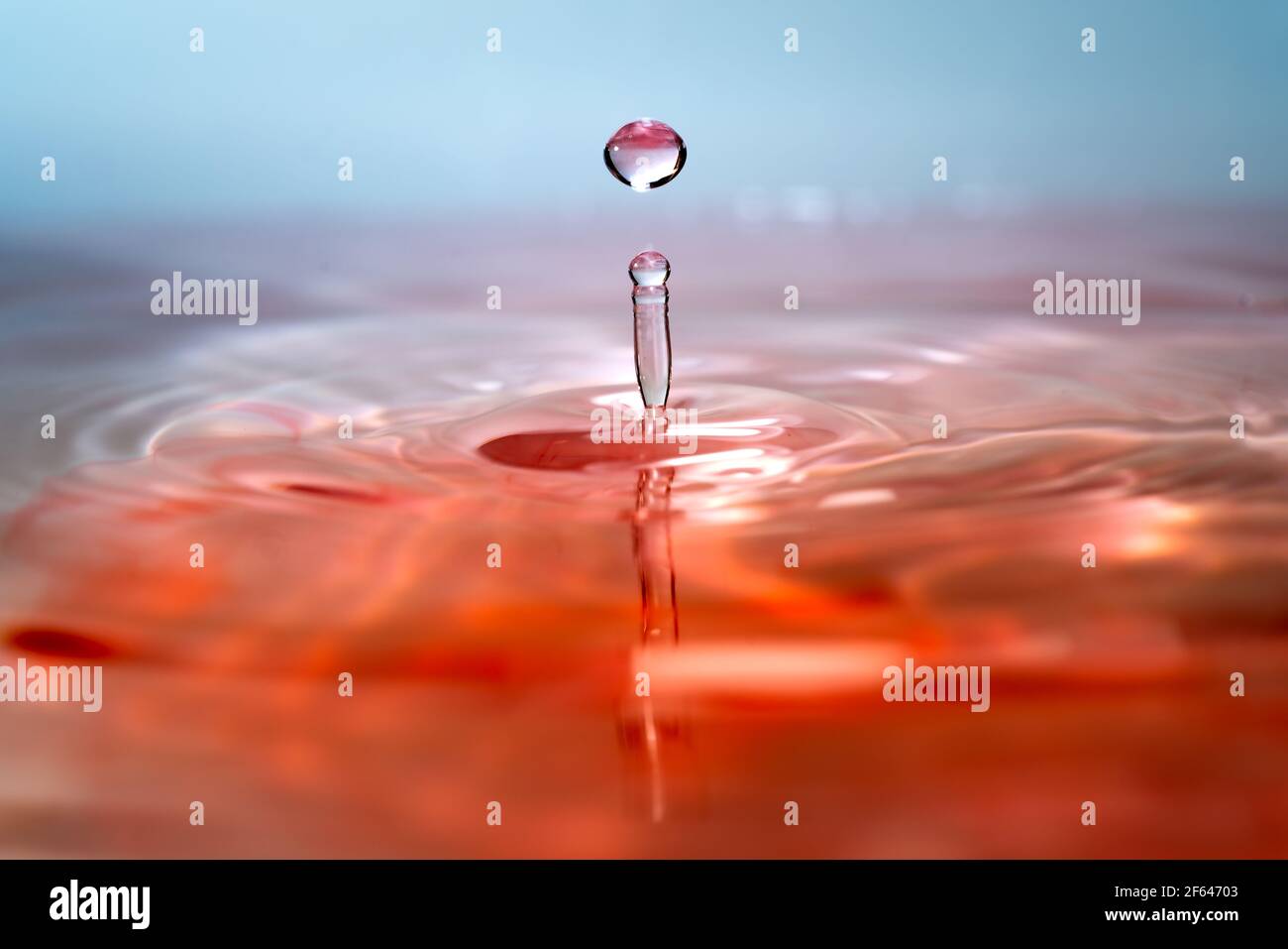 Water droplets red umbrella hi-res stock photography and images - Alamy