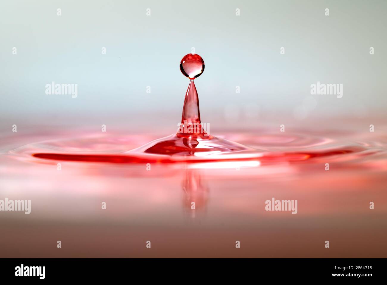 Moment of water drops colliding on pink background. Abstract natural ...