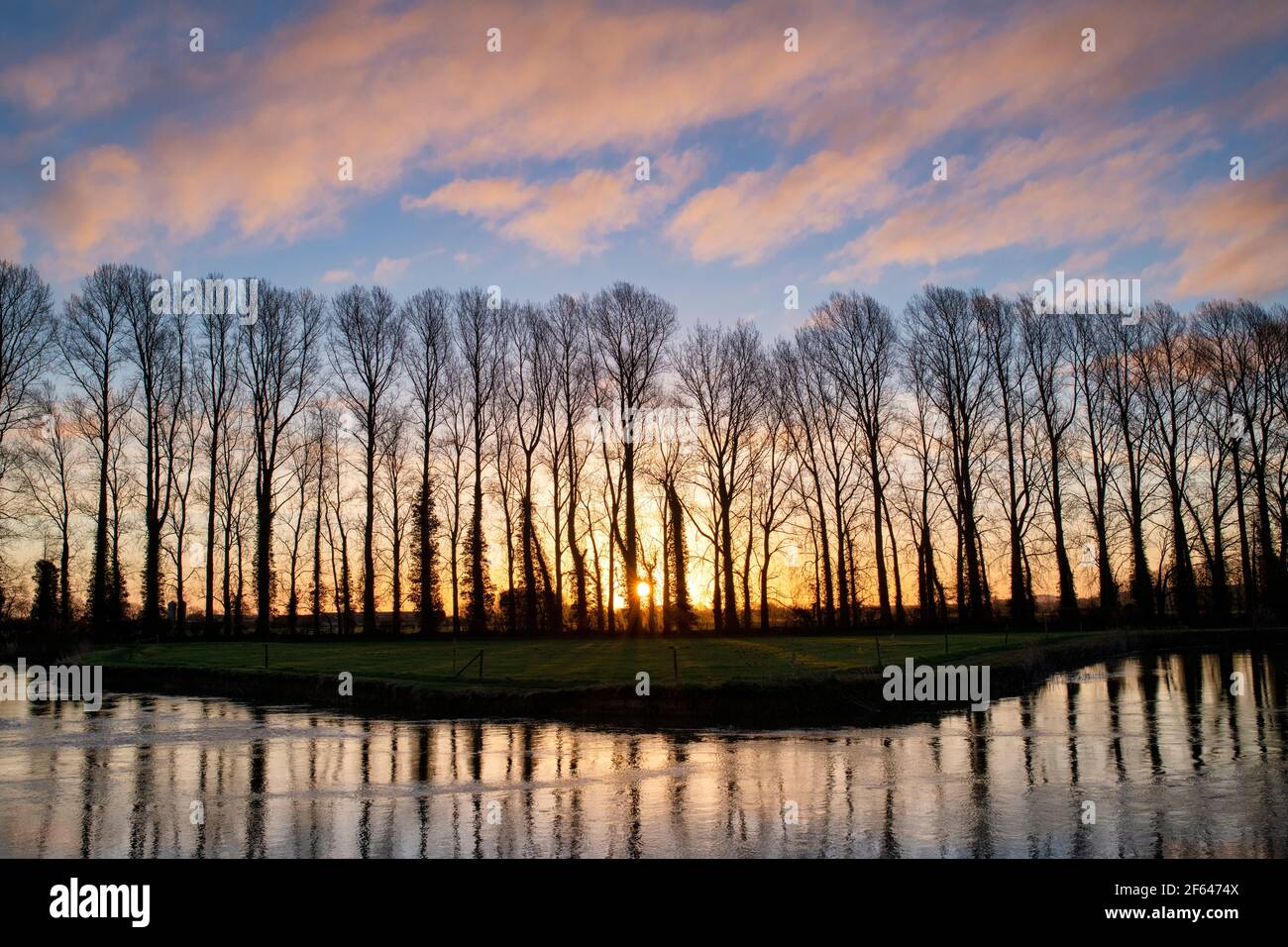 Line of trees on the river thames at sunrise. Buscot, Cotswolds ...