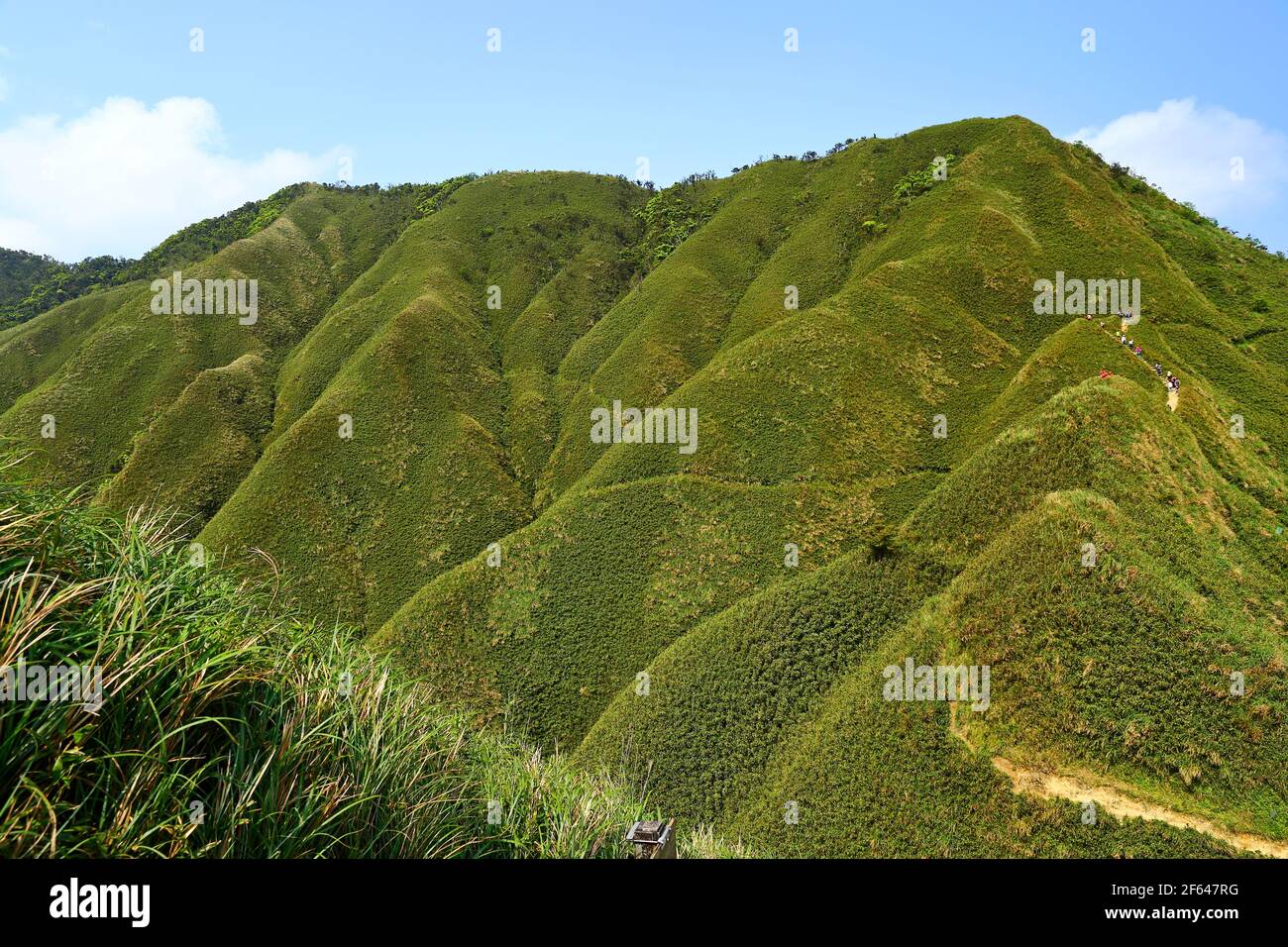 Famous Matcha (Green Tea) Mountain, Shengmu Hiking Trail (Marian Hiking ...