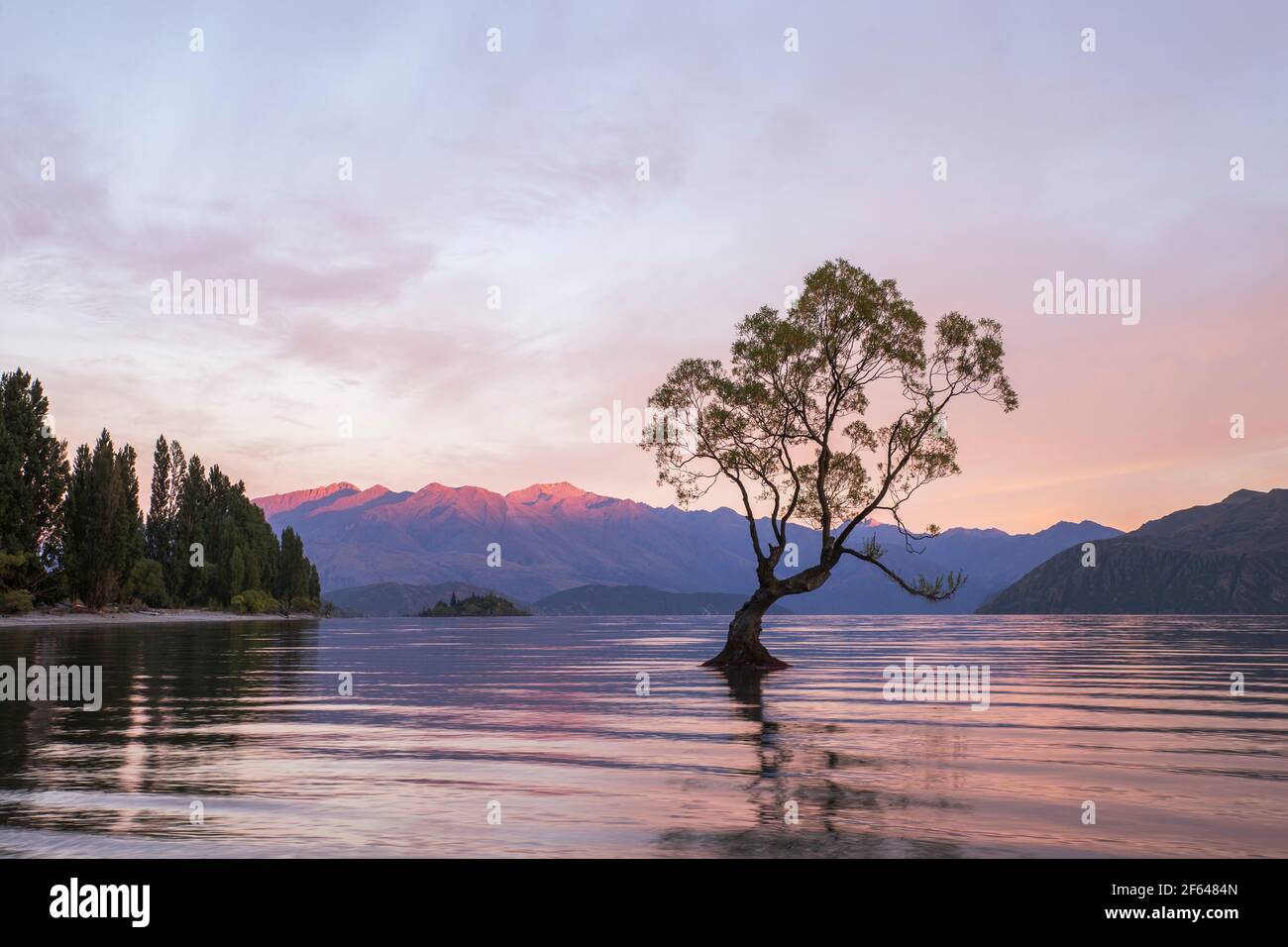 Wanaka New Zealand, Wanaka Tree New Zealand Landscape, Sunrise ...