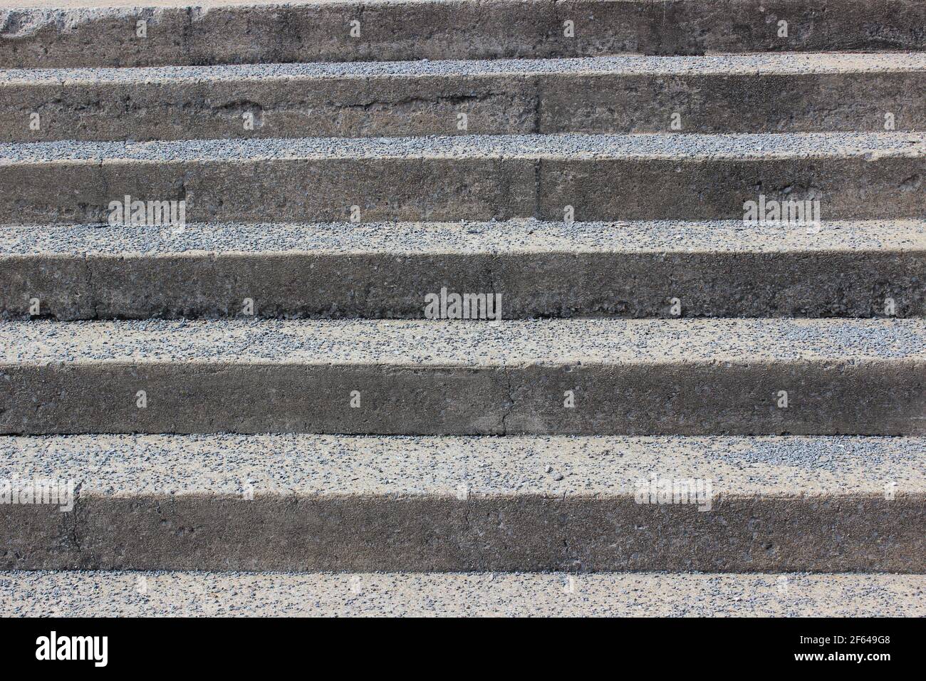 Scalaire hi-res stock photography and images - Alamy