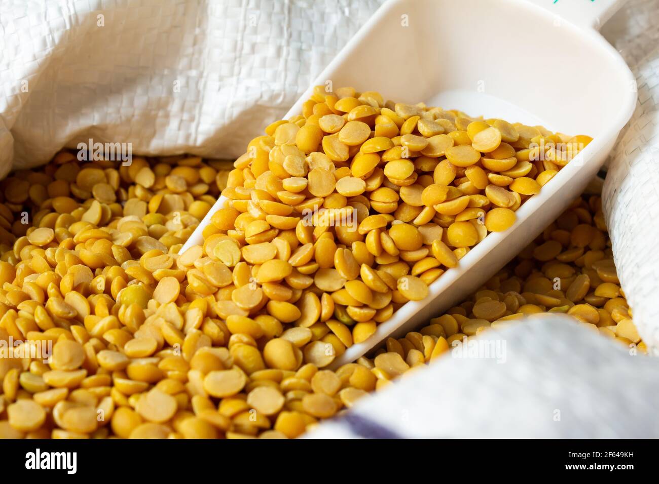 Pigeon pea (also known as tur dal) is a common staple food in south ...