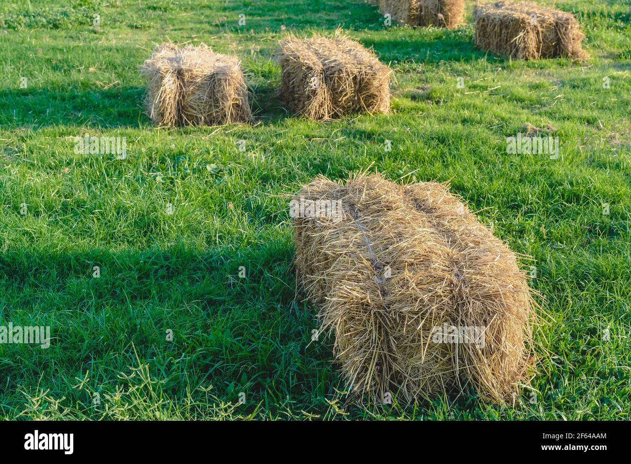 Seats and tables made from straw bales for event and party laid on lawn ...