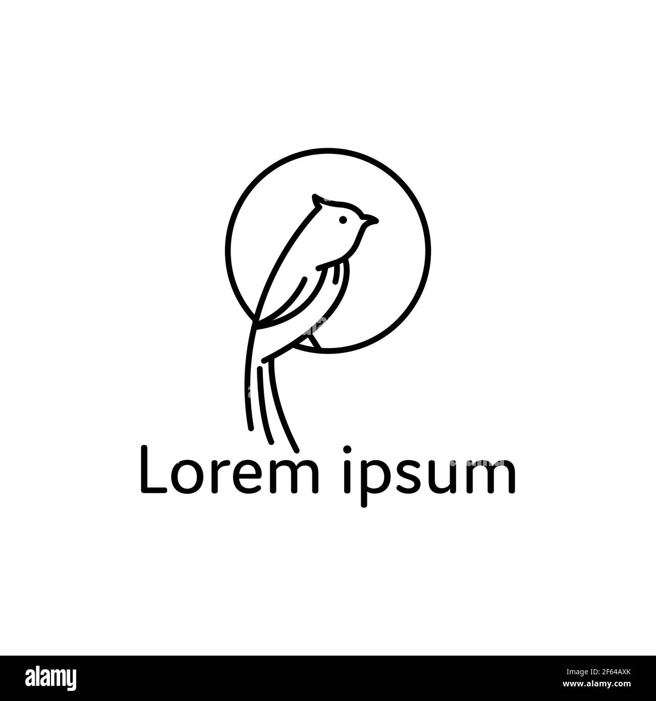 monoline style bird design concept, abstract bird logo isolated on ...