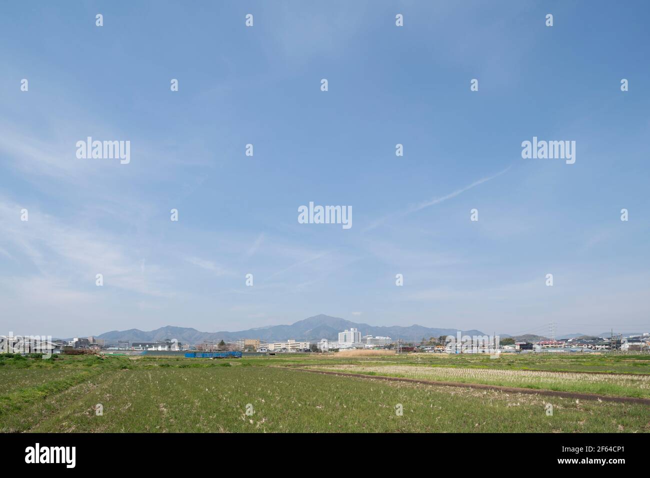 Sunny day, March 27th, 2021 (eearly spring), Isehara City, Kanagawa ...