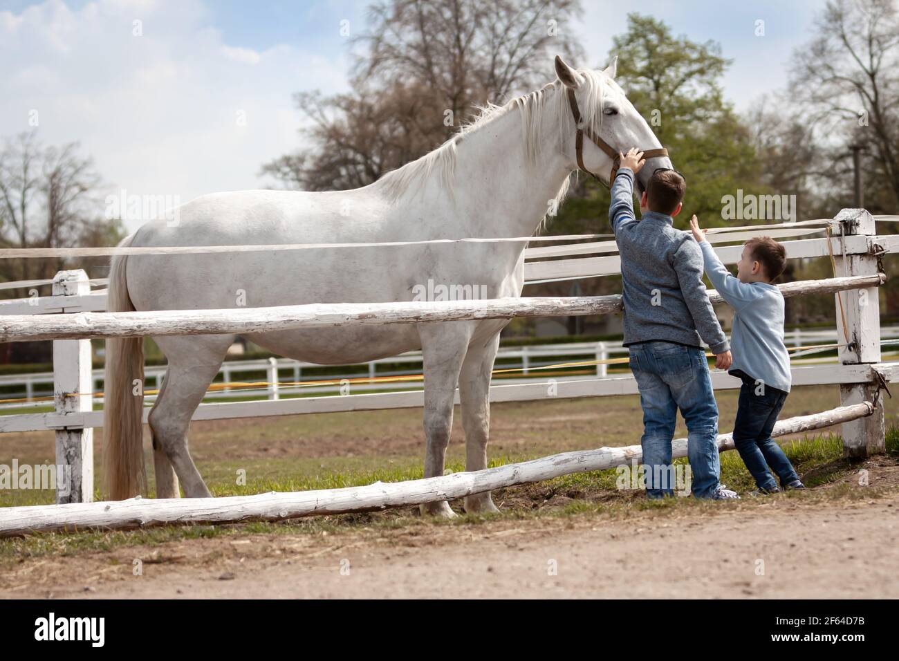 Teen boy riding horse hi-res stock photography and images - Alamy