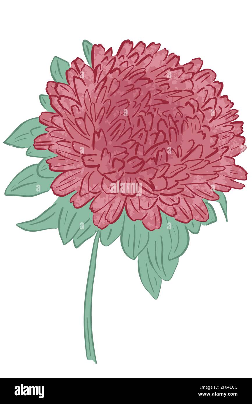 Vector isolated color garden Stock Vector Images - Alamy