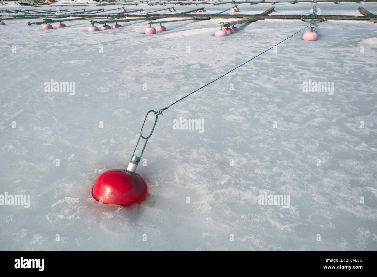 Red white harbor buoy hi-res stock photography and images - Alamy