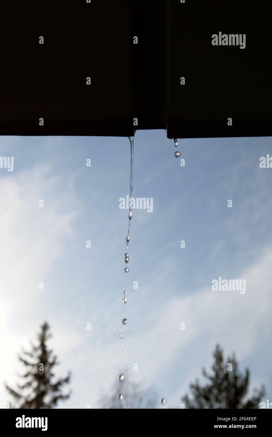 Drops of water dripping from the roof Stock Photo - Alamy
