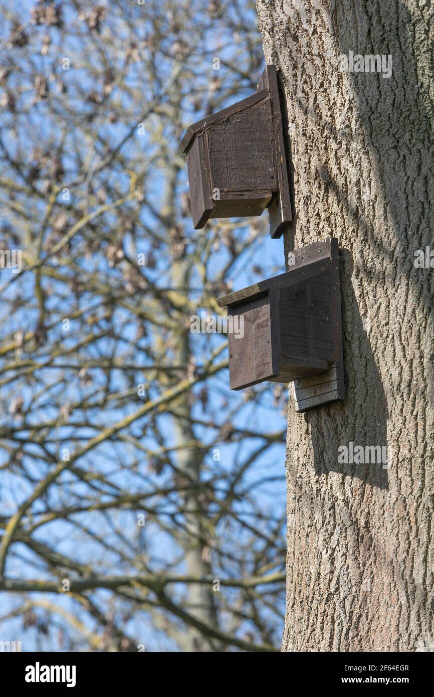 Two bird boxes hi-res stock photography and images - Alamy
