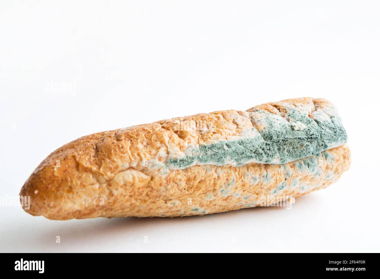 Blue mildew fungus on white bread close-up. Spoiled food, unhealthy ...
