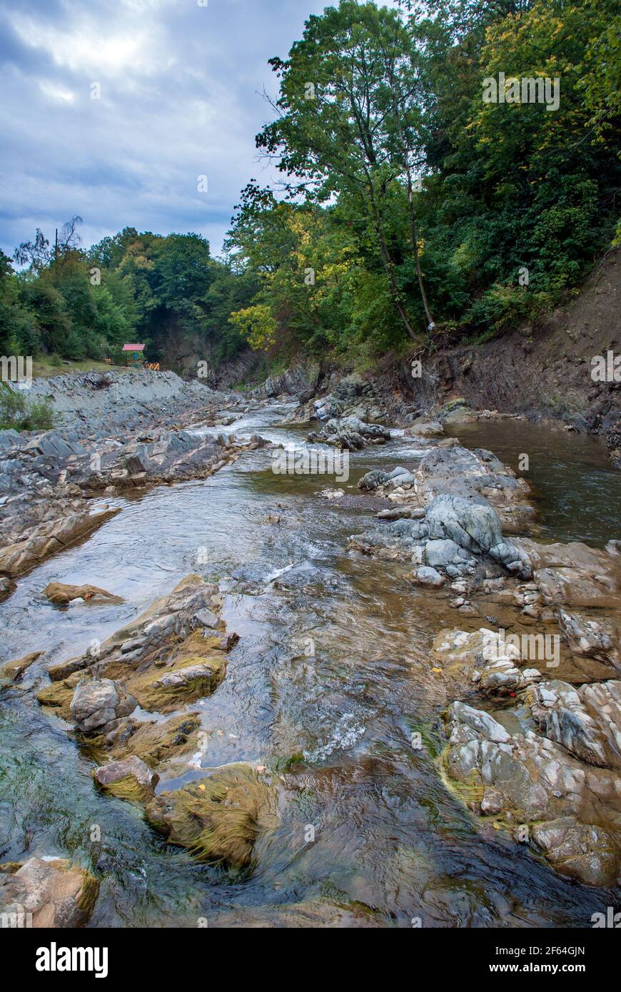 Mountain river flowing through the green forest Stock Photo - Alamy