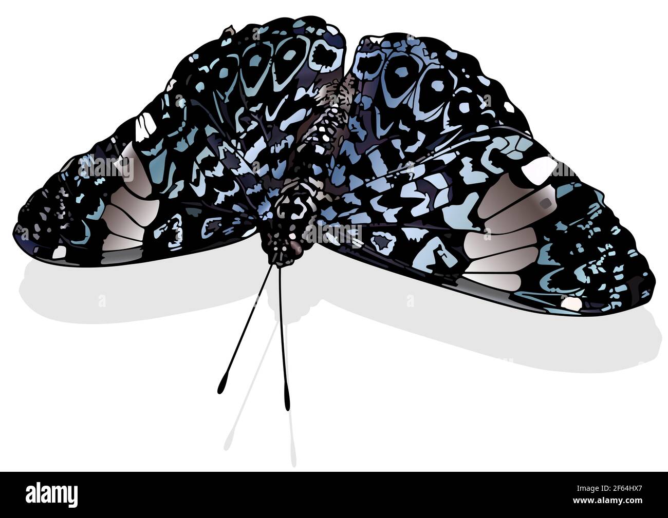 Red Cracker Butterfly Stock Vector Image & Art - Alamy
