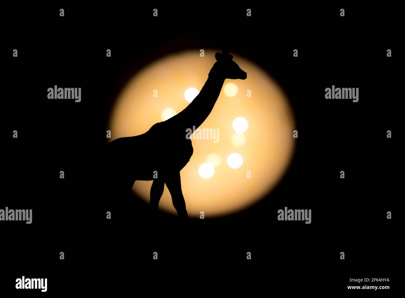 giraffe and neck photographed with bright light in background and with ...