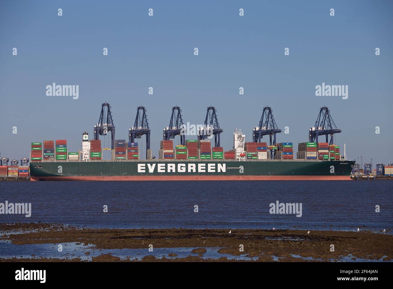 Container ship Ever Glory docked at the Port of Felixstowe, Suffolk, UK ...