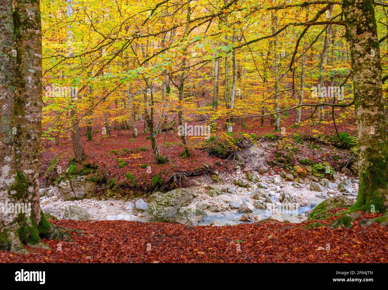 National Park of Abruzzo, Lazio and Molise (Italy) - The autumn foliage ...
