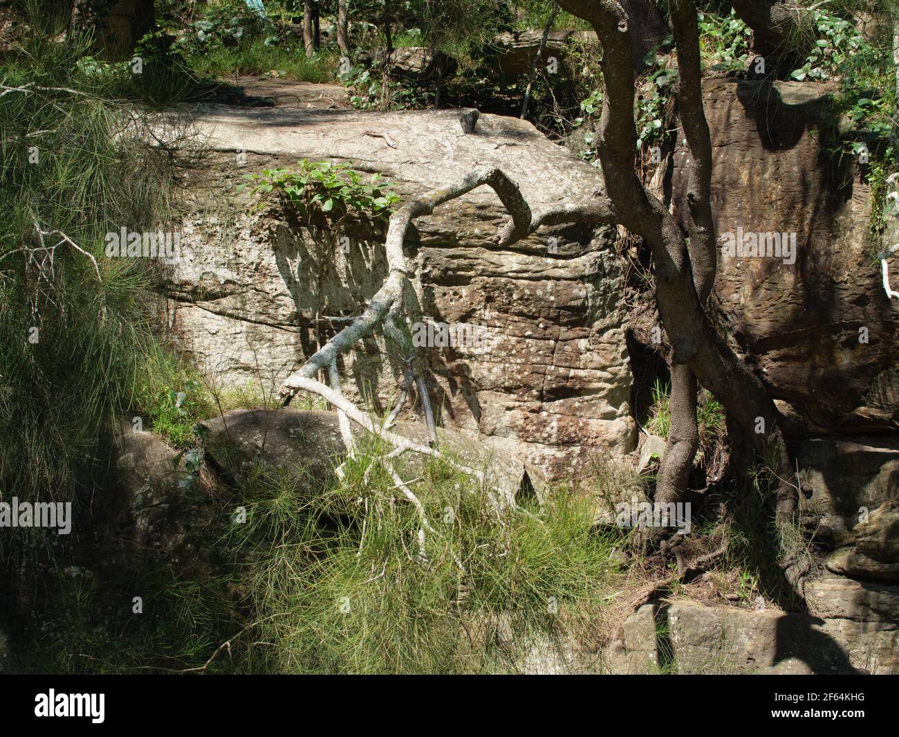 Dangar island hi-res stock photography and images - Alamy